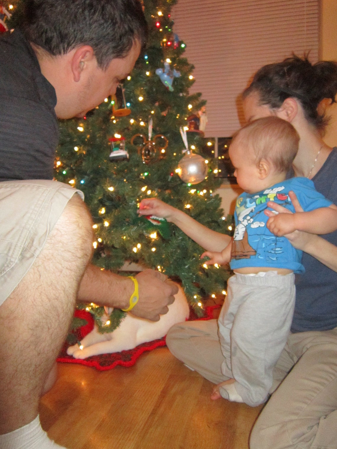 Turtle Christmas Ornament Tortoise Christmas Tree Ornament - Etsy