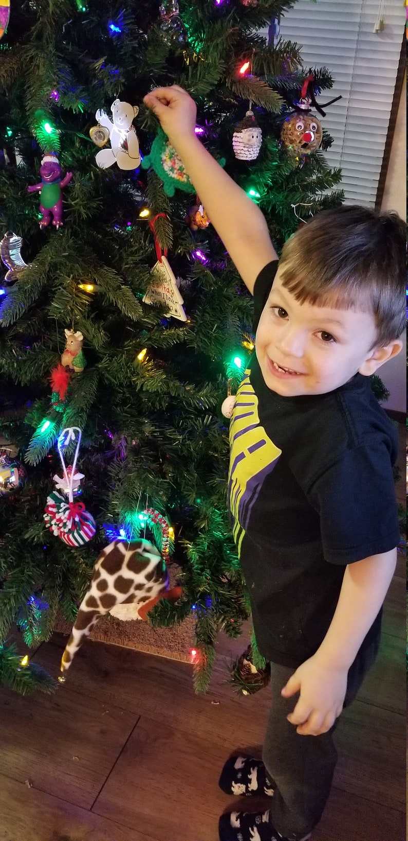 Turtle Christmas Ornament Tortoise Christmas Tree Ornament - Etsy