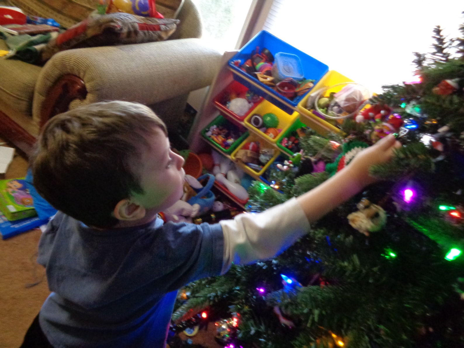 Turtle Christmas Ornament Tortoise Christmas Tree Ornament - Etsy