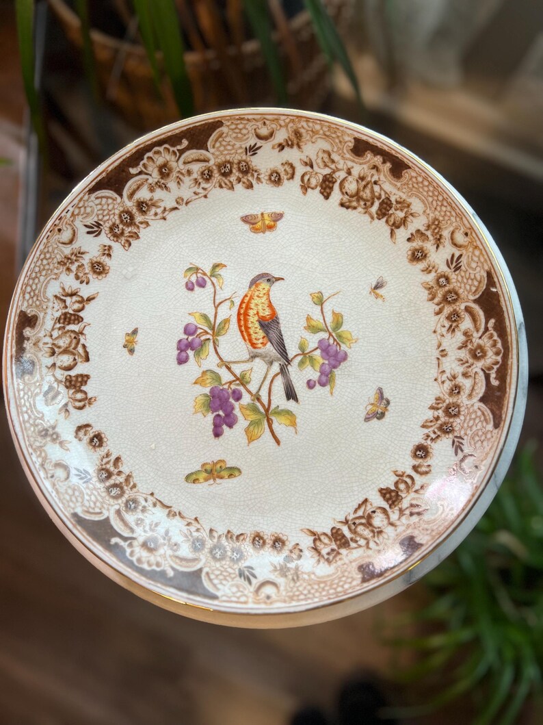 Vintage Hua Ping Tang Zhi Chinese Decorative Plate - Etsy