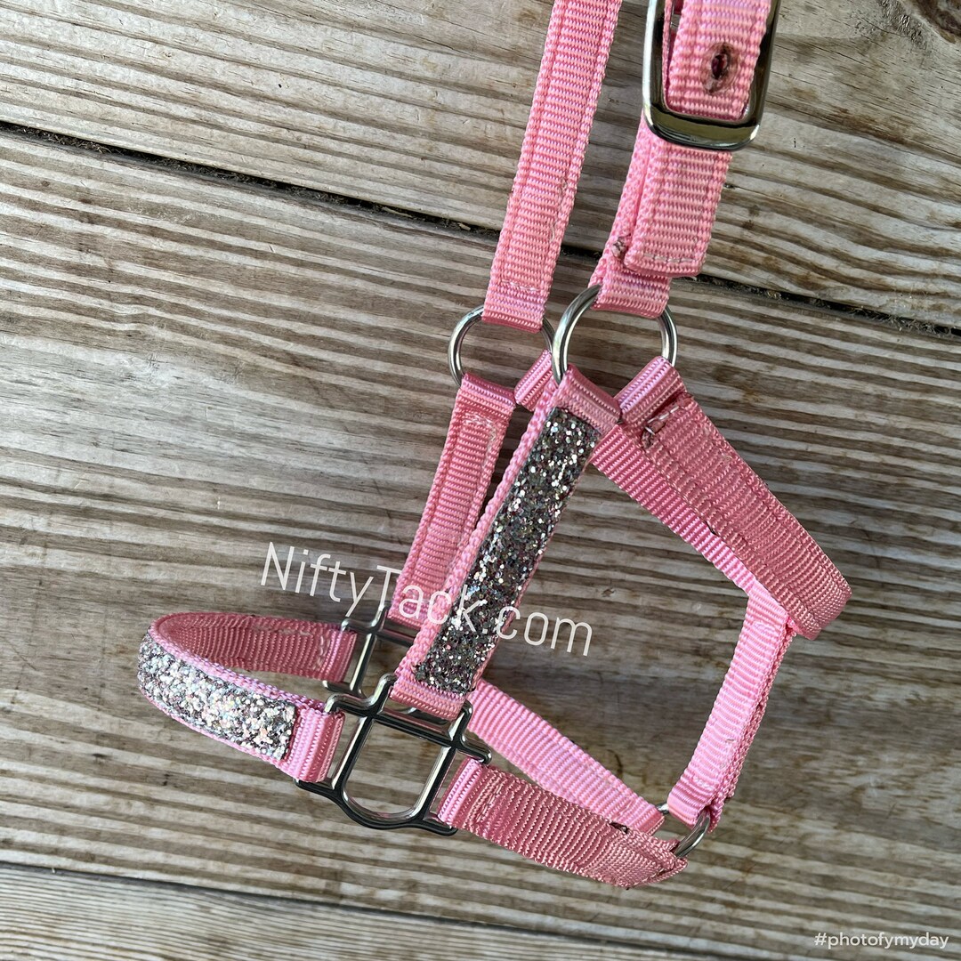 Unicorn Birthday Party Photoshoot Sparkly Glitter Miniature Horse Halters - Etsy