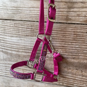 Miniature Horse & Donkey Halters Sparkly Glitter Glamour Designs - Etsy
