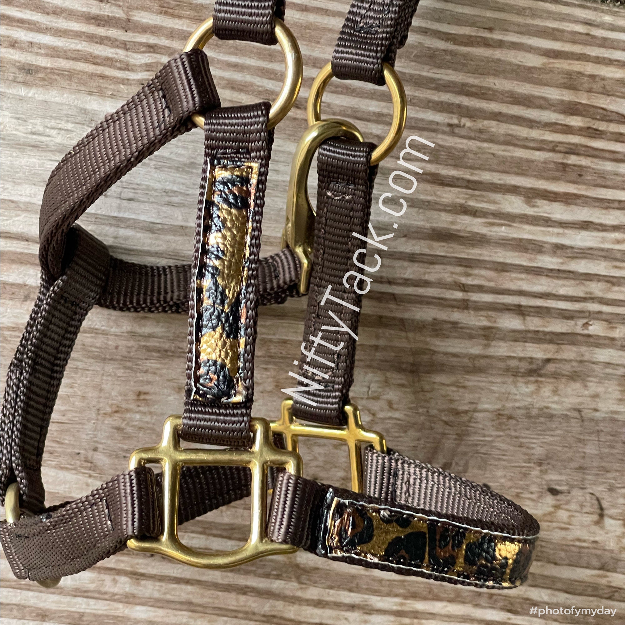 Unicorn Birthday Party Photoshoot Sparkly Glitter Miniature Horse ...