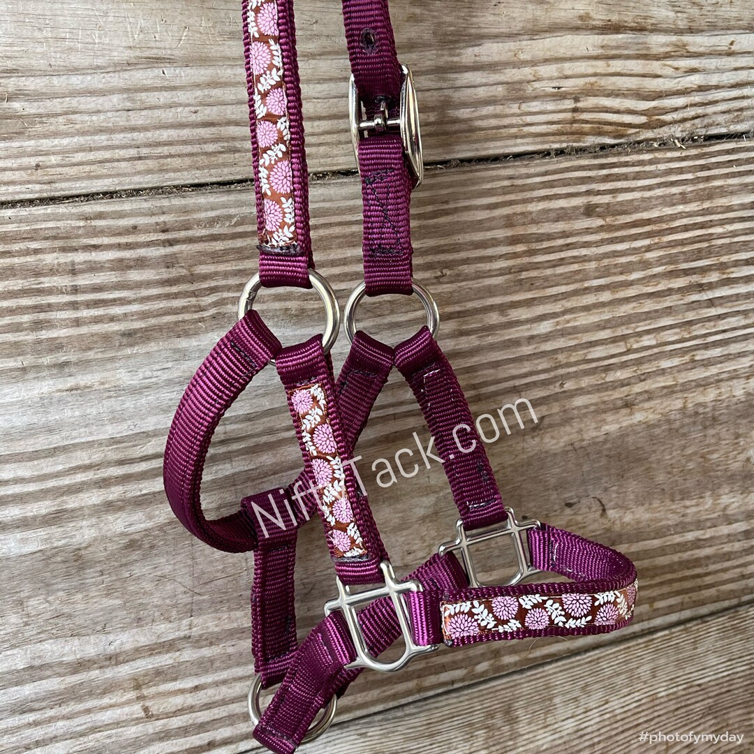 Miniature Horse & Donkey Nylon Halters, Custom Designs Unicorn Princess ...