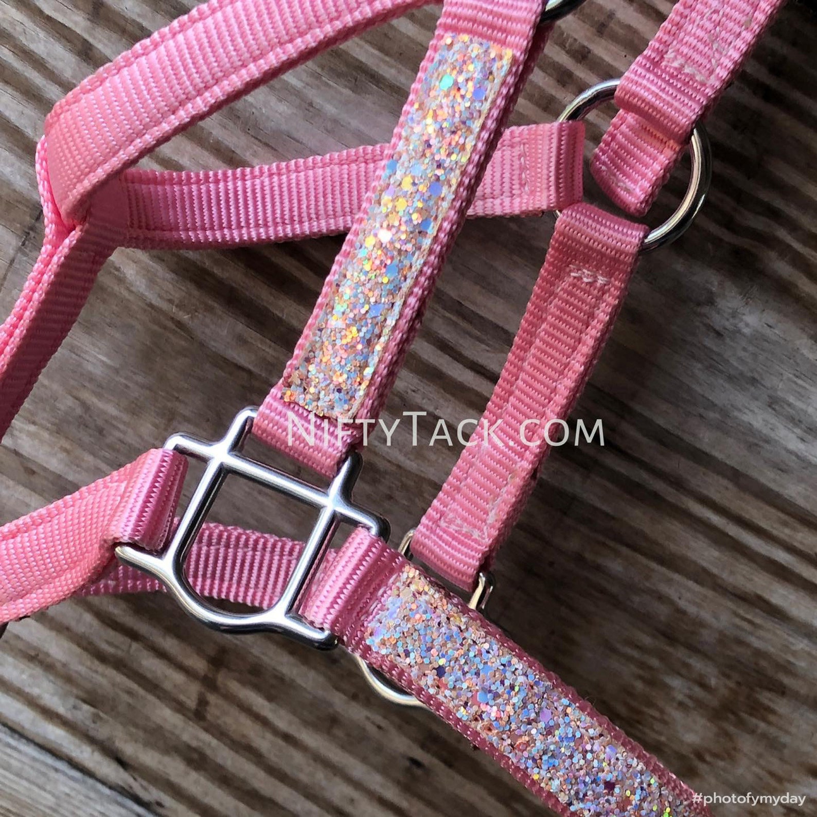 Miniature Horse & Donkey Halters Sparkly Glitter Glamour Designs - Etsy