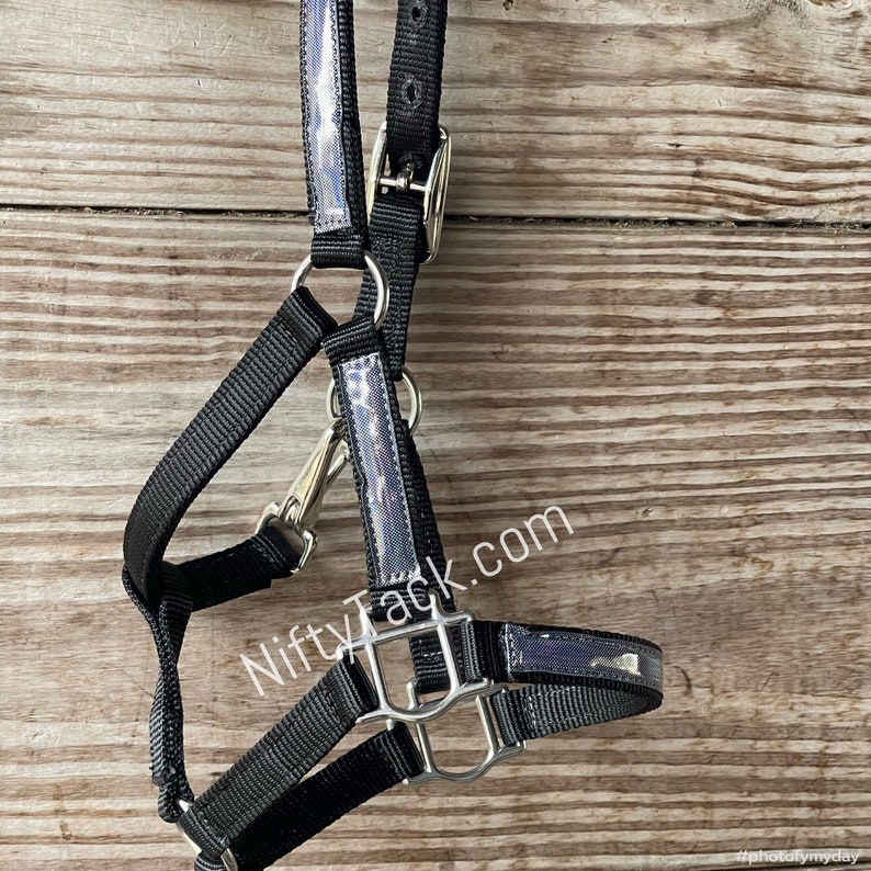 Unicorn Birthday Party Photoshoot Sparkly Glitter Miniature Horse ...