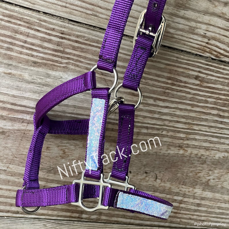 Unicorn Birthday Party Photoshoot Sparkly Glitter Miniature Horse ...