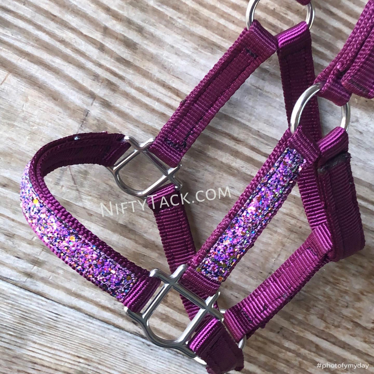 Miniature Horse & Donkey Halters Sparkly Glitter Glamour Designs - Etsy