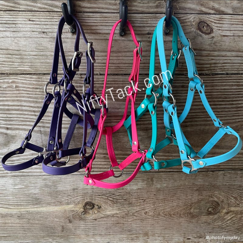 Miniature Horse - Etsy