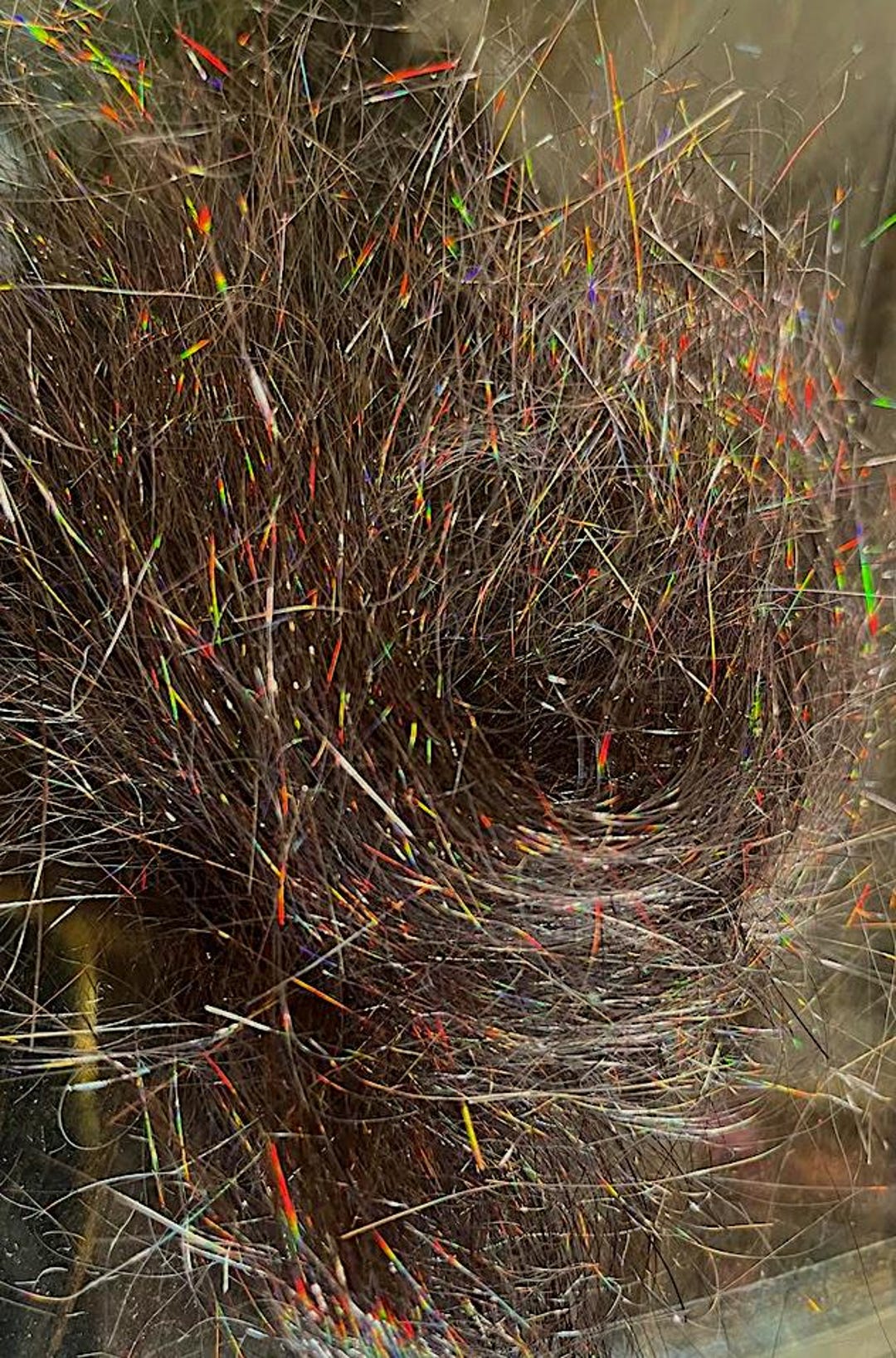 Beautiful Earthy Bronze Hologram Angelina Half or Full Ounce ...