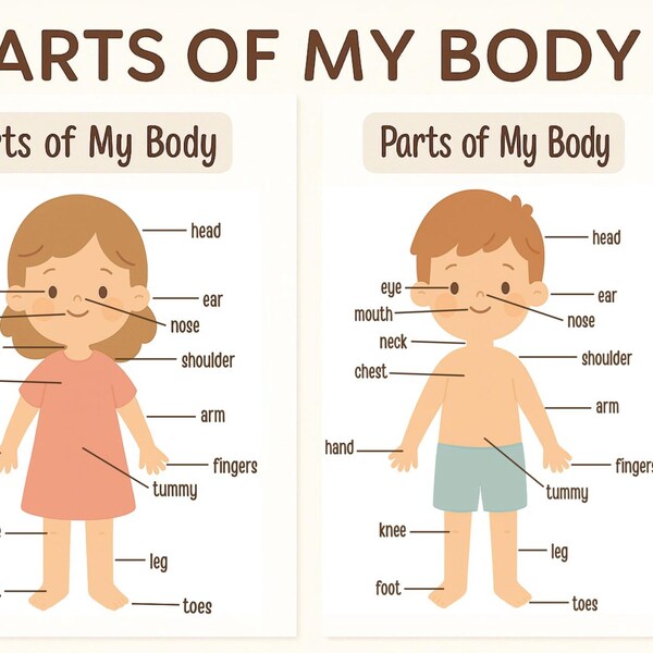 Educational Wall Art - Etsy