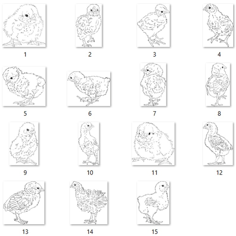 15 Baby Chick Line Art SVG Farm Animal Chick Clipart Hand Drawn Chick ...