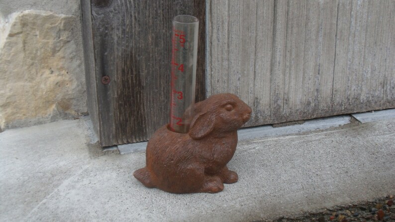 Rabbit Rain Gauge-brown-garden Statuary - Etsy