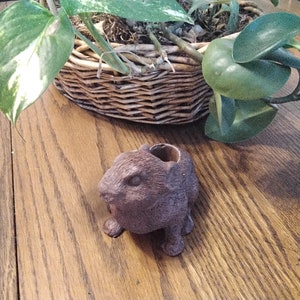 Rabbit Rain Gauge-brown-garden Statuary - Etsy