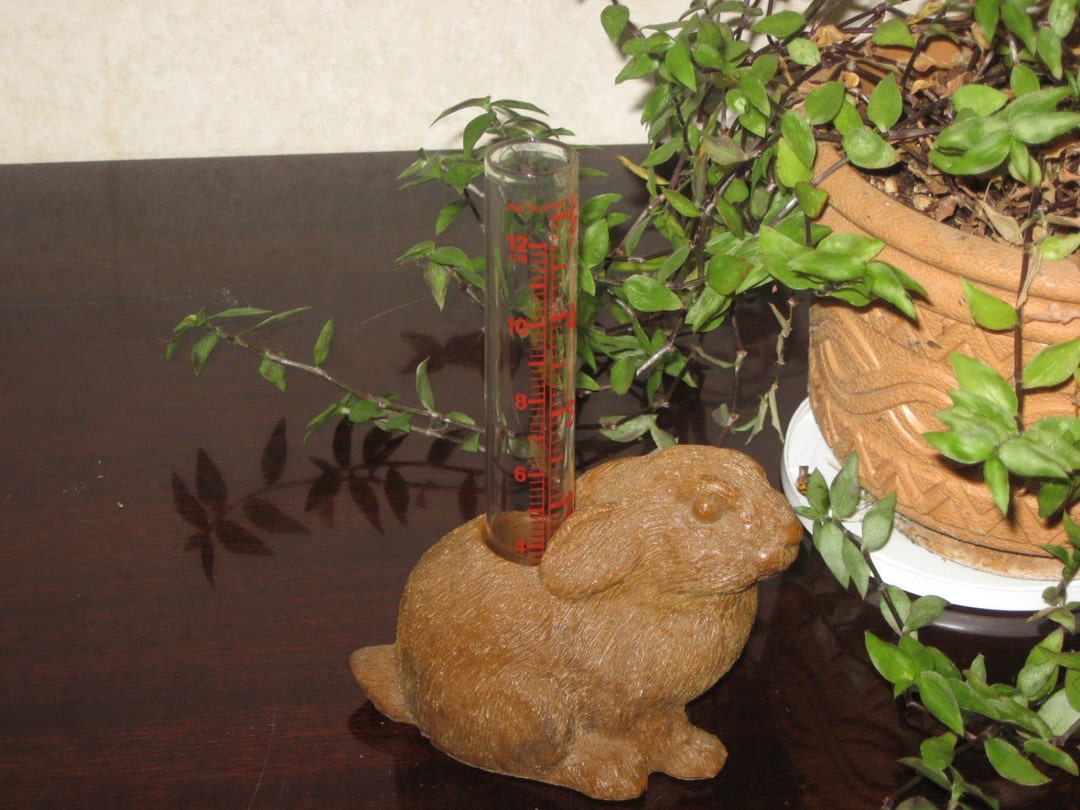 Rabbit Rain Gauge-brown-garden Statuary - Etsy