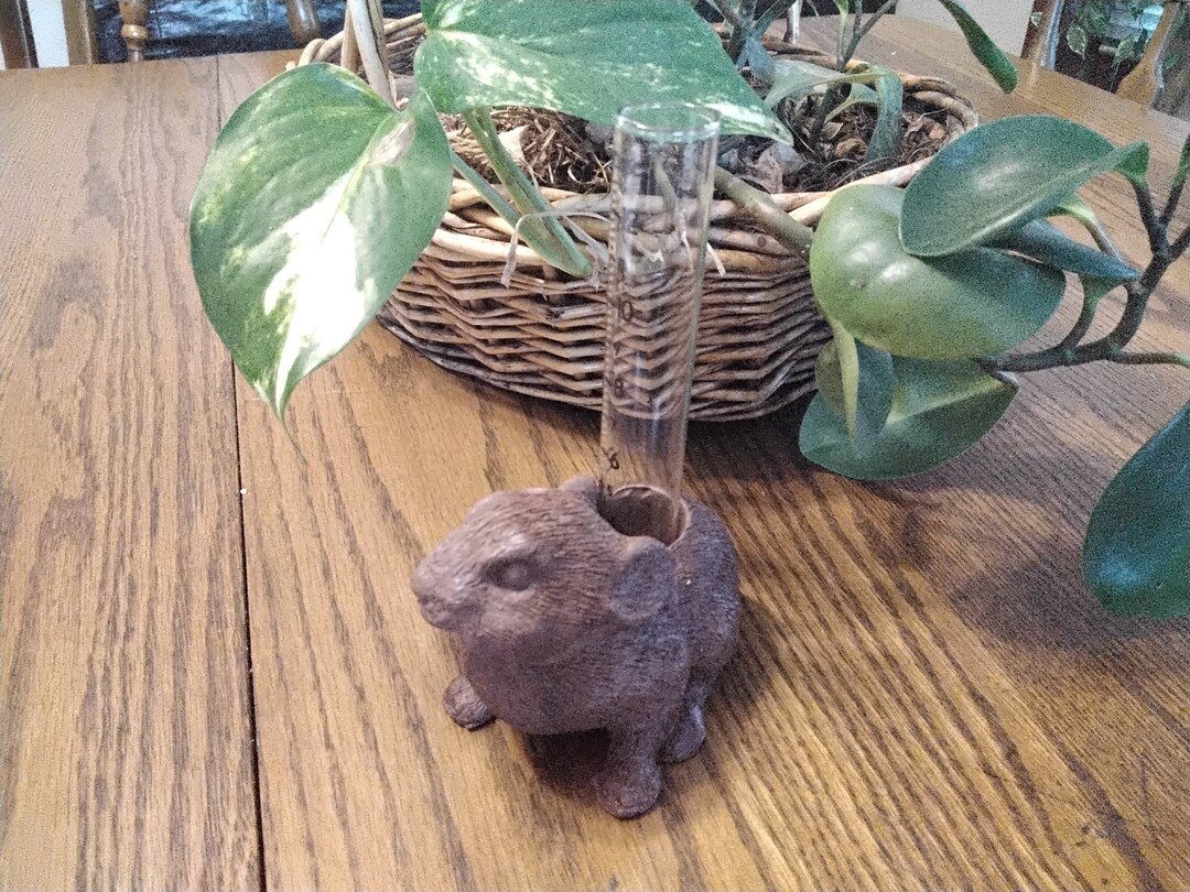 Rabbit Rain Gauge-brown-garden Statuary - Etsy