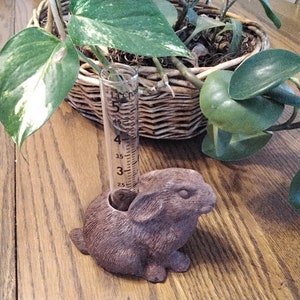Rabbit Rain Gauge-brown-garden Statuary - Etsy
