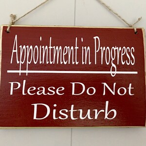 8x6 Appointment in Progress Please Do Not Disturb Custom Wood Sign in ...
