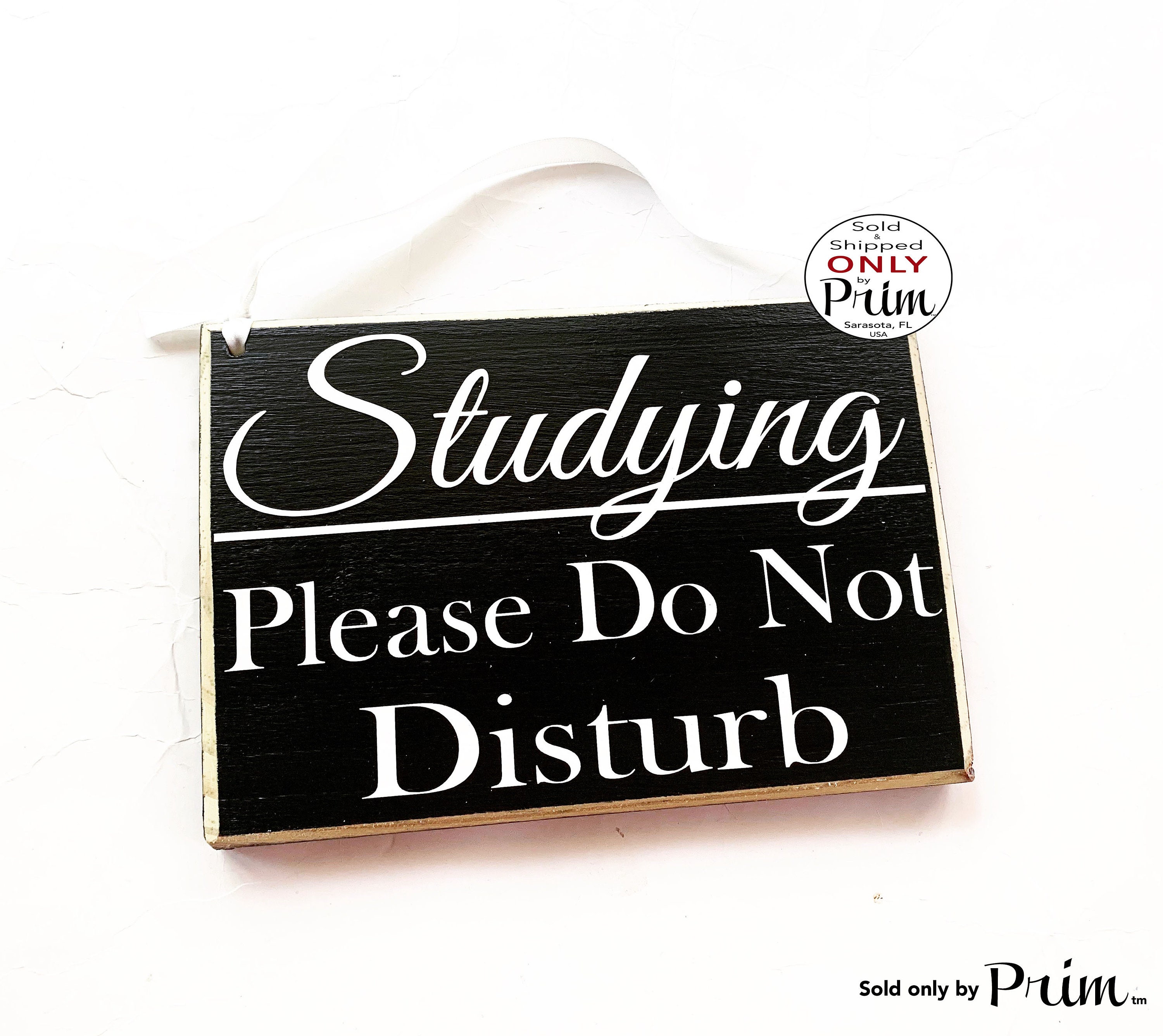 Do Not Disturb Studying In Progress