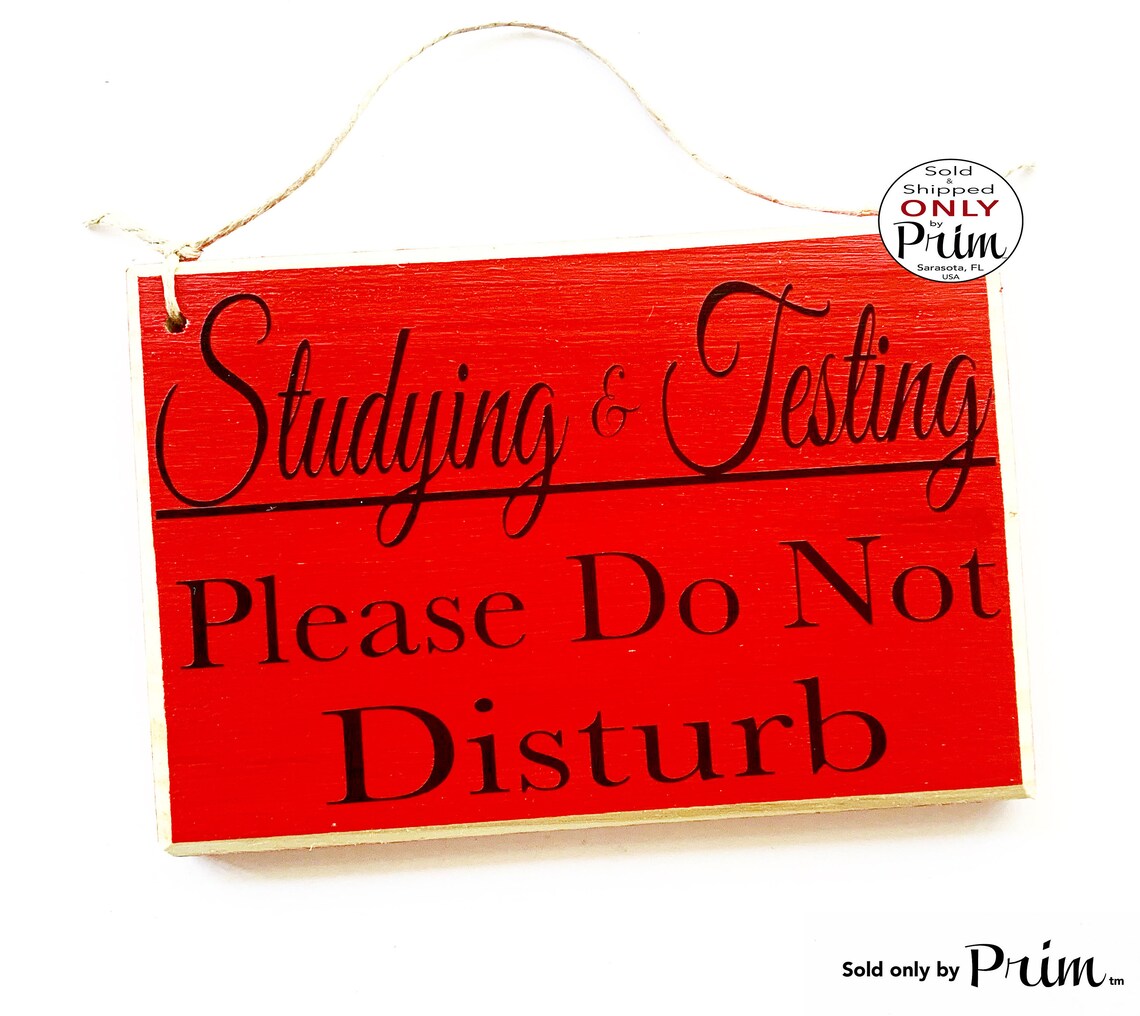 8x6 Studying & Testing Please Do Not Disturb Custom Wood Sign | Etsy