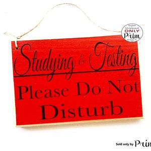 8x6 Studying & Testing Please Do Not Disturb Custom Wood Sign | Etsy