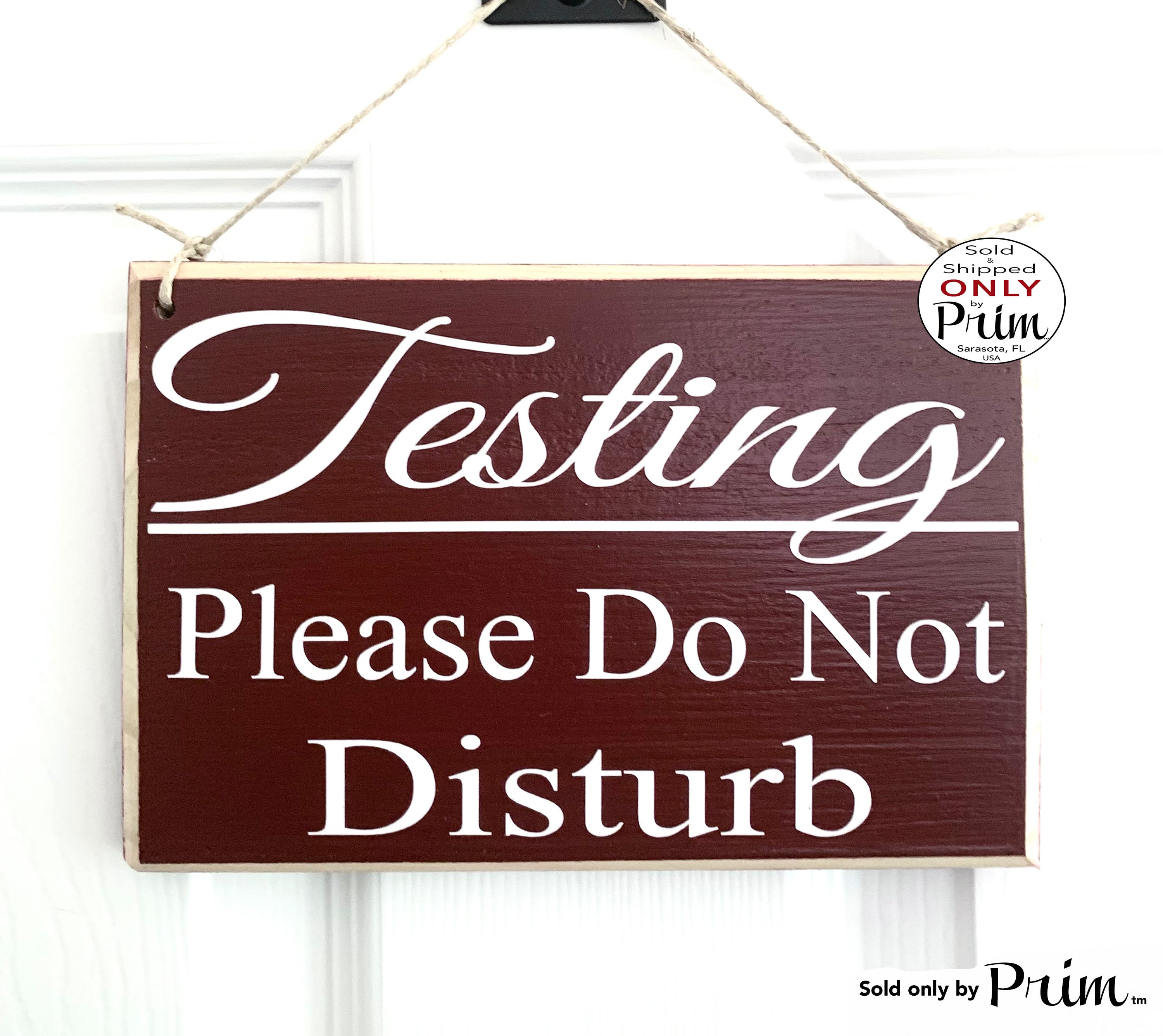 8x6 Testing Please Do Not Disturb Custom Wood Sign Teacher School ...