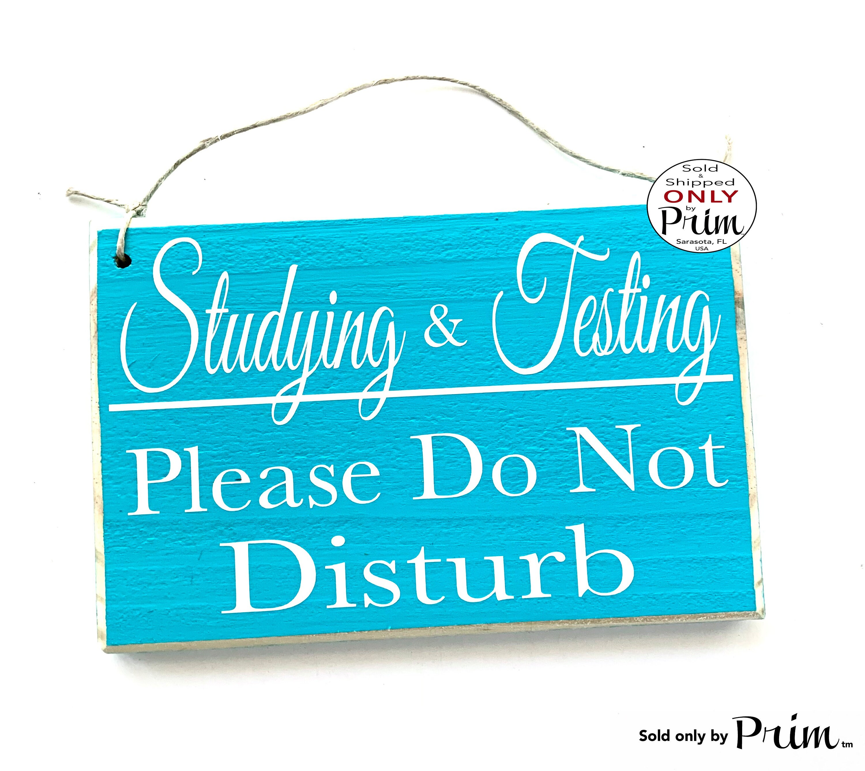 Do Not Disturb Studying In Progress