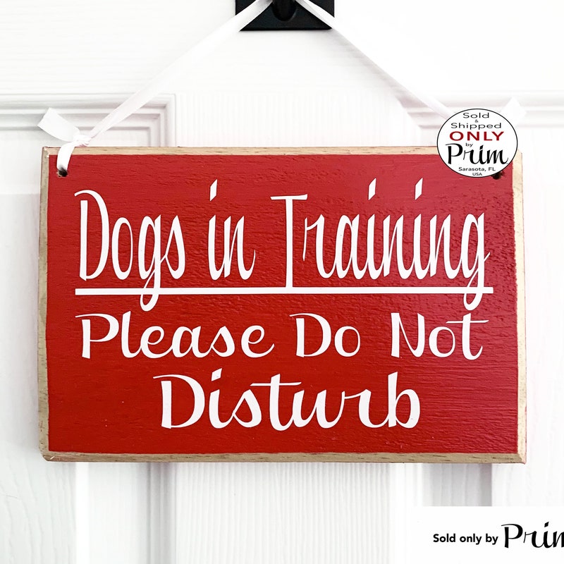 Training in Progress Sign - Etsy