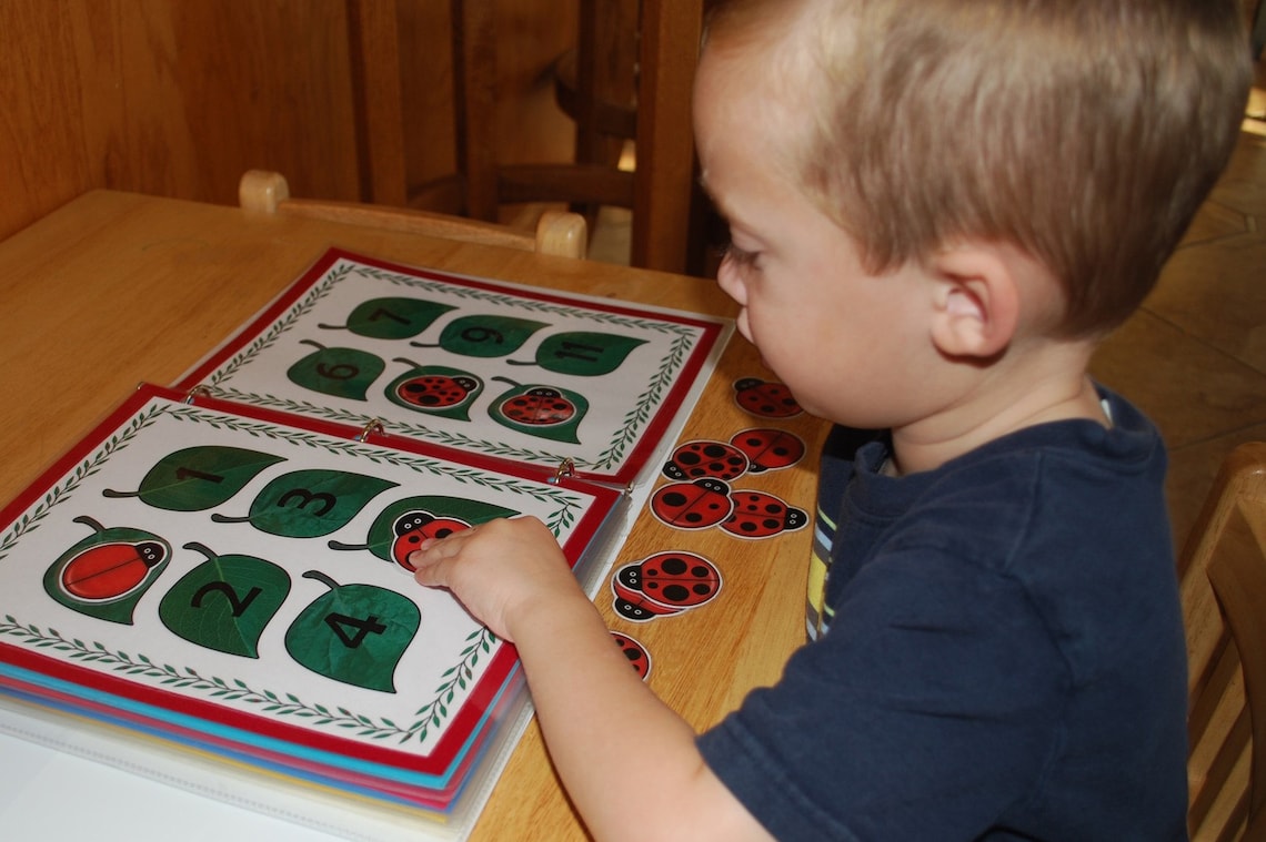Ladybug Numbers Printable Game - Etsy