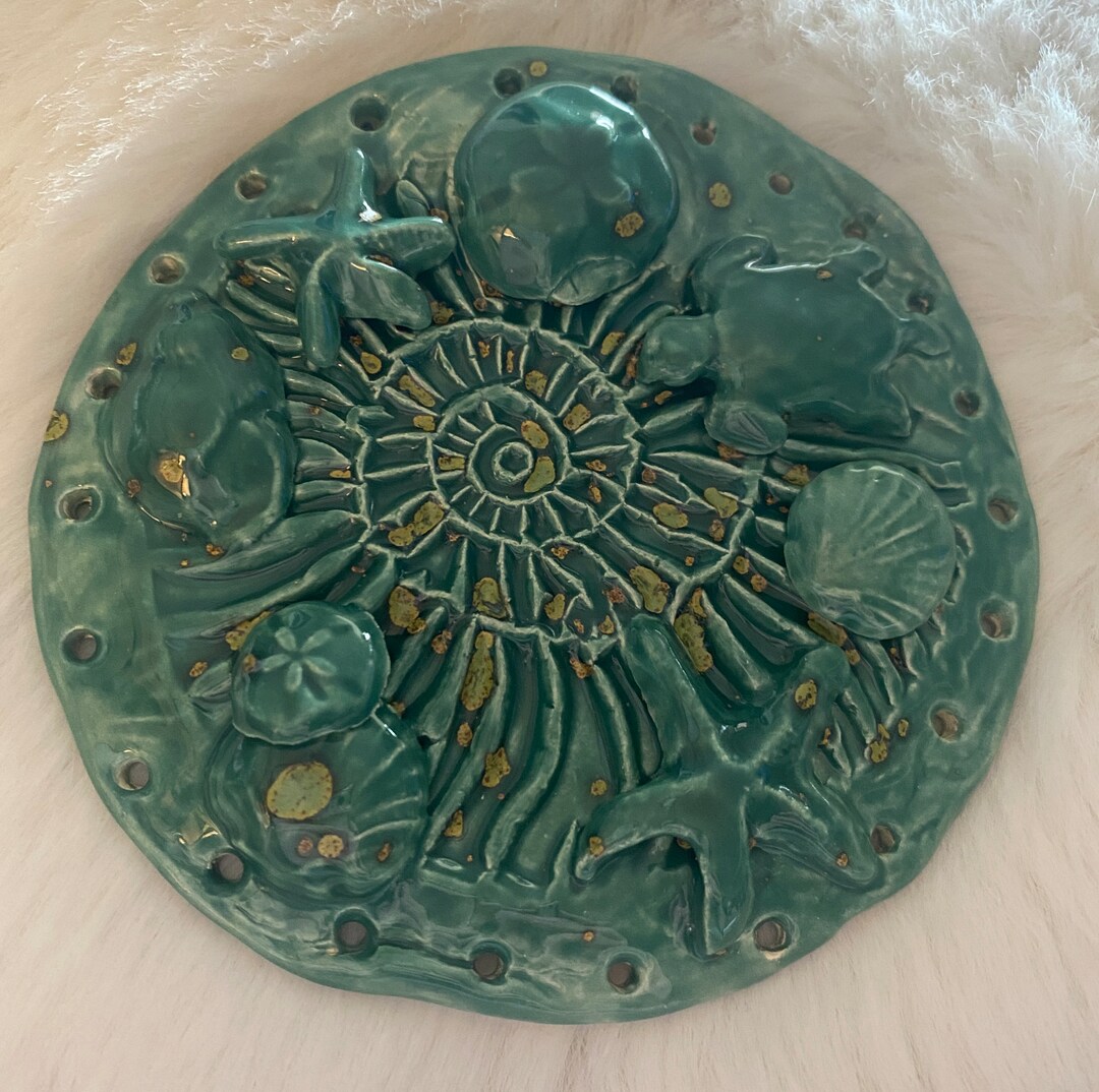 Stunning Large Snail Shell Pine Needle Base With Amazing Embellishments ...