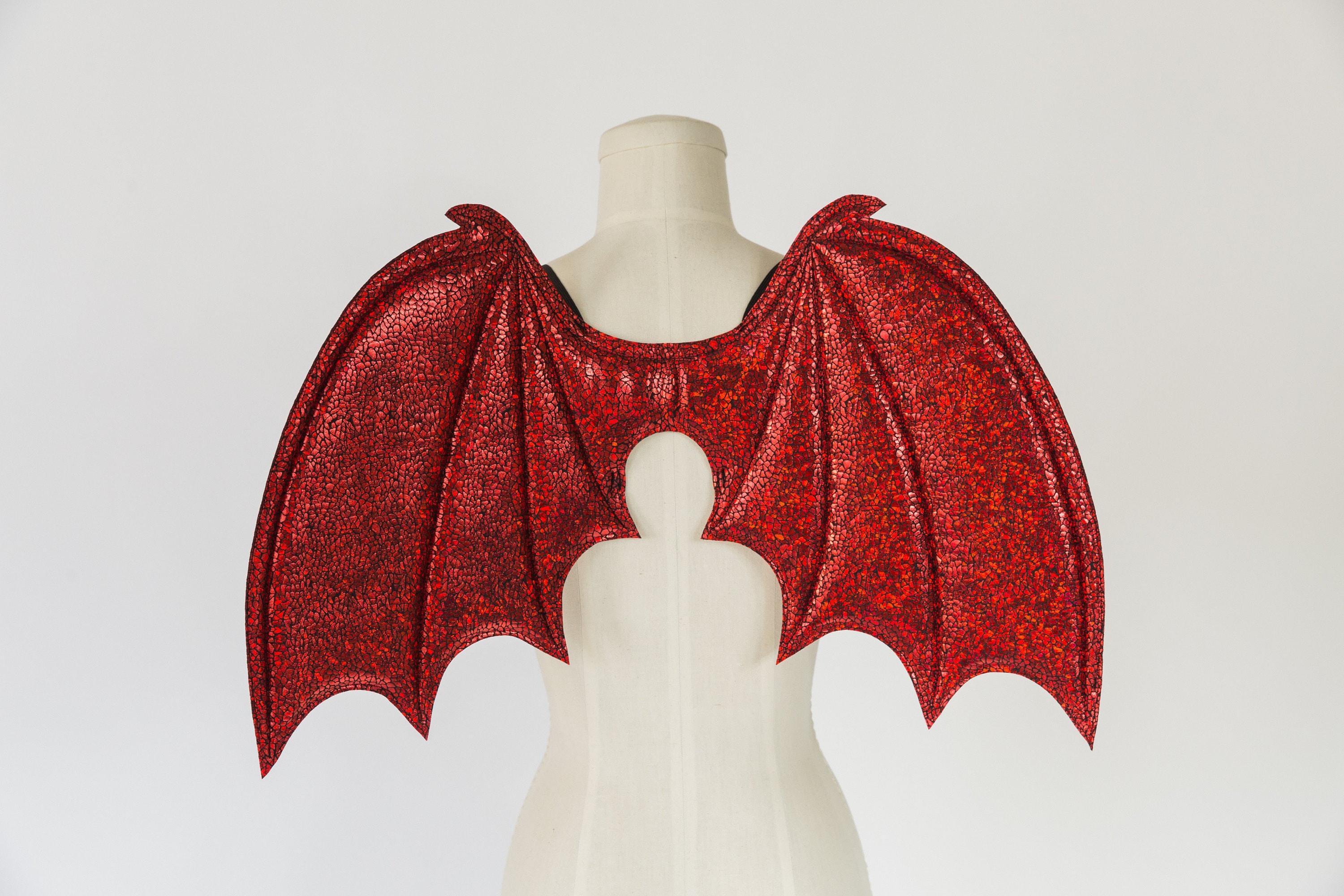 Demon Wings Costume