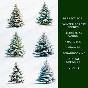 Snowy Christmas Tree Clipart – 15 Winter Pine PNG Set (digital Download ...