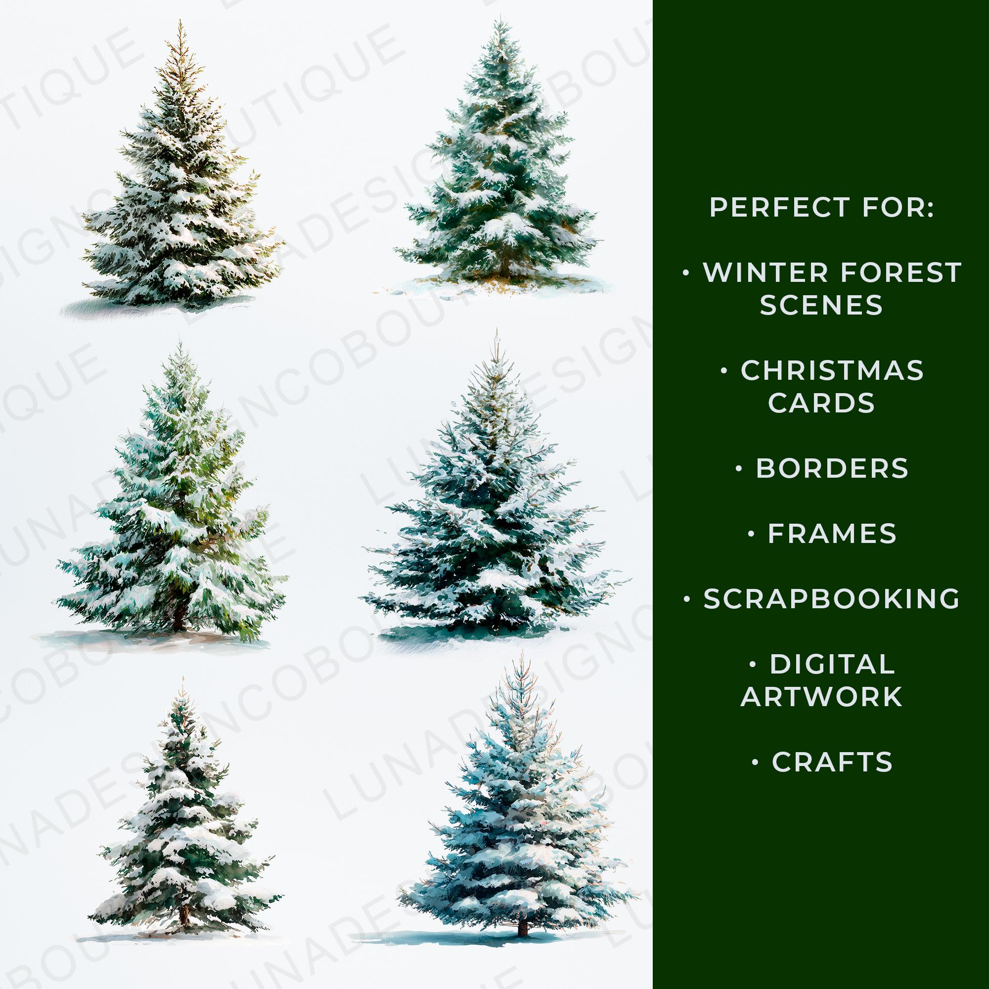 Snowy Christmas Tree Clipart – 15 Winter Pine PNG Set (digital Download ...
