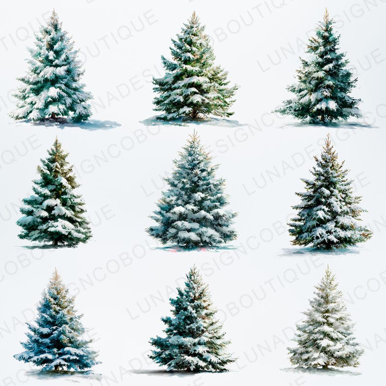 Snowy Christmas Tree Clipart – 15 Winter Pine PNG Set (digital Download ...