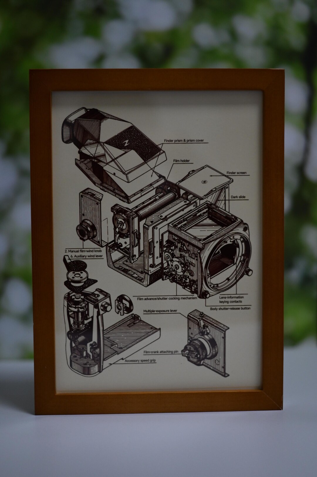 Vintage Camera Disassembly Drawing Art Painting Exploded View Home ...
