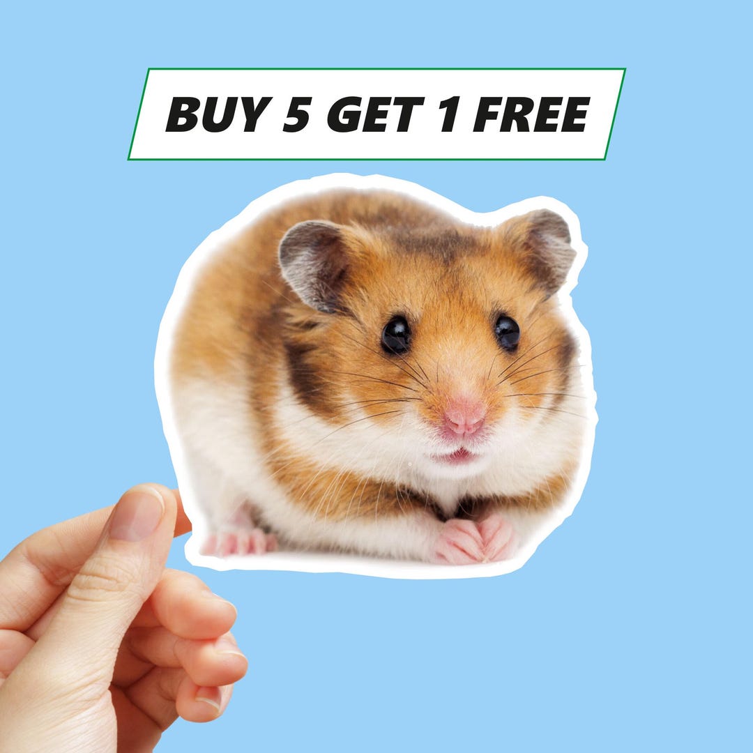 Hamster Vinyl Sticker Decal - Laptop, Water Bottle [1008] - Etsy