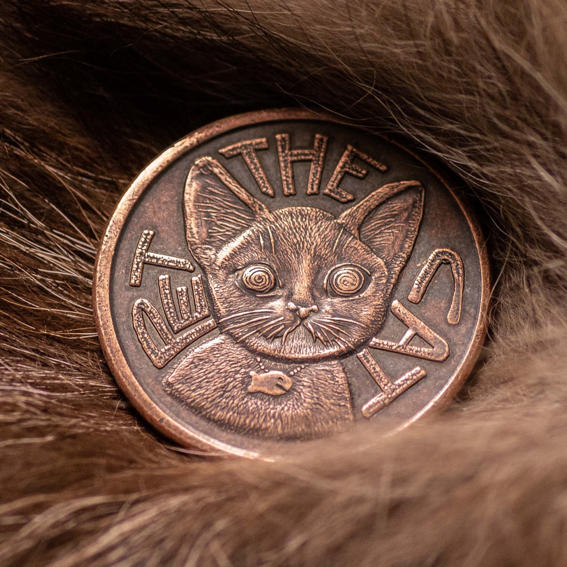 Pet the Cat / Flip Again Copper Decision Maker Coin | Etsy