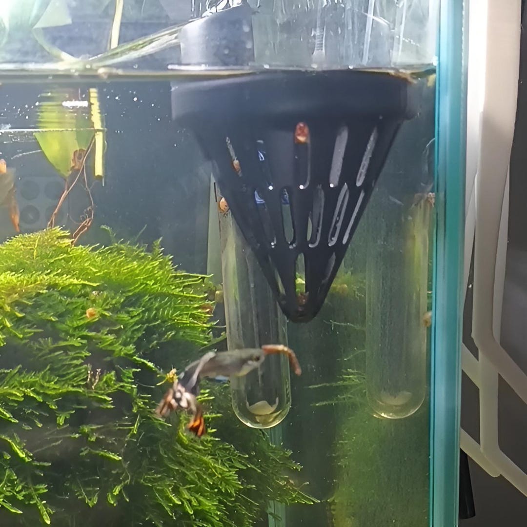 Floating Aquarium Fish Feeder | Controlled Feeding With Two Opening ...