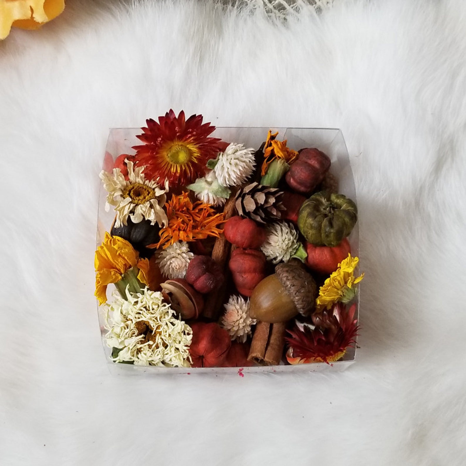 Autumn Altar Offerings, Fall Altar Offerings, Mabon Offerings, Shamian ...