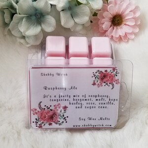 Raspberry Ale Soy Wax Melts - Etsy