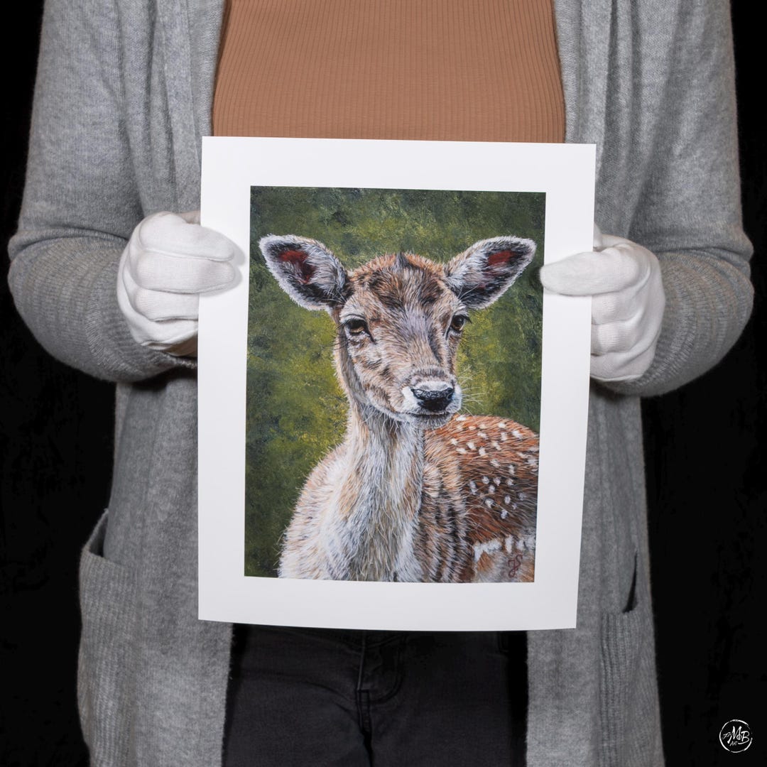 Fine Art Print | Fallow Deer | Open Edition | Tiny Collections ...