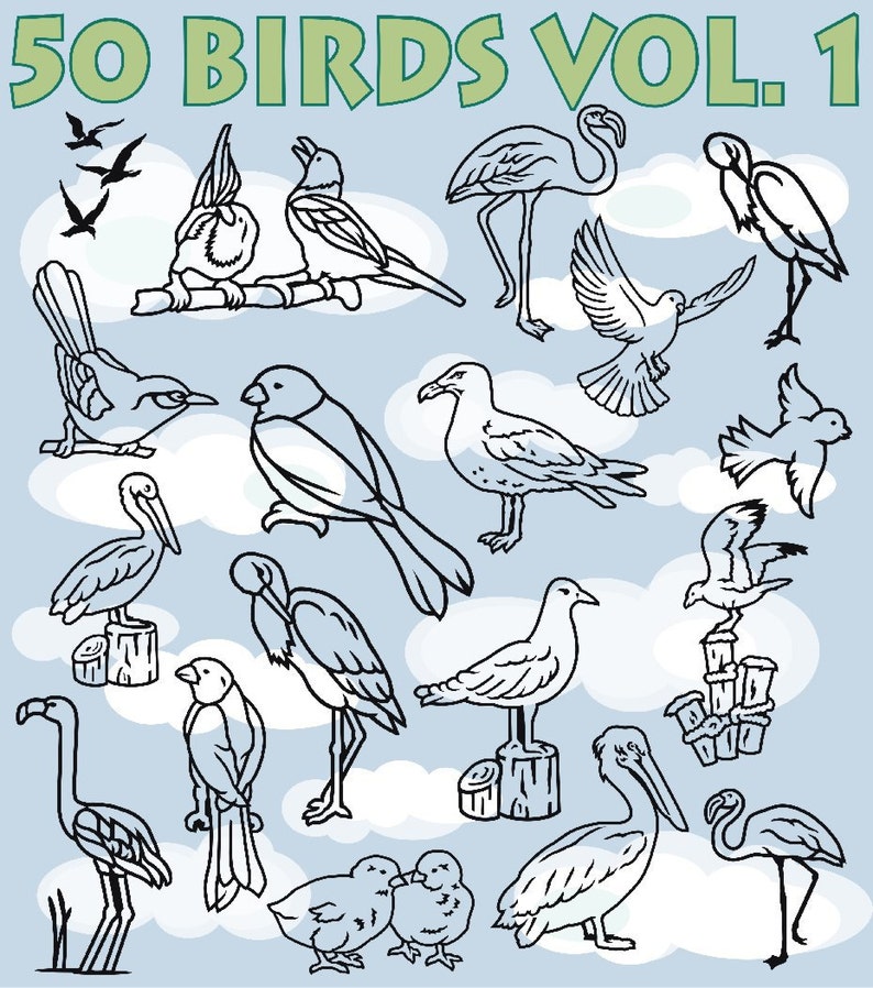 50 Birds Vol. 1 Vector Clipart - Etsy