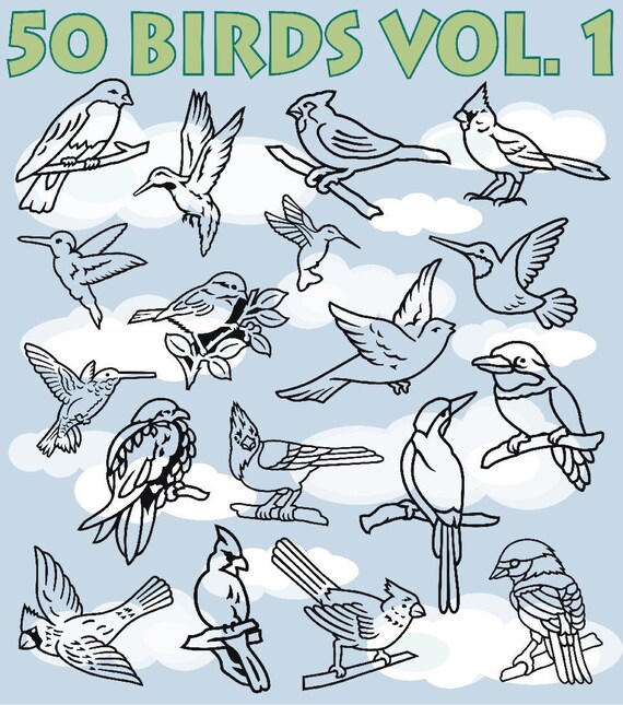 50 Birds Vol. 1 Vector Clipart - Etsy