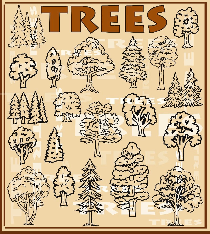 60 Trees Vector Clipart - Etsy