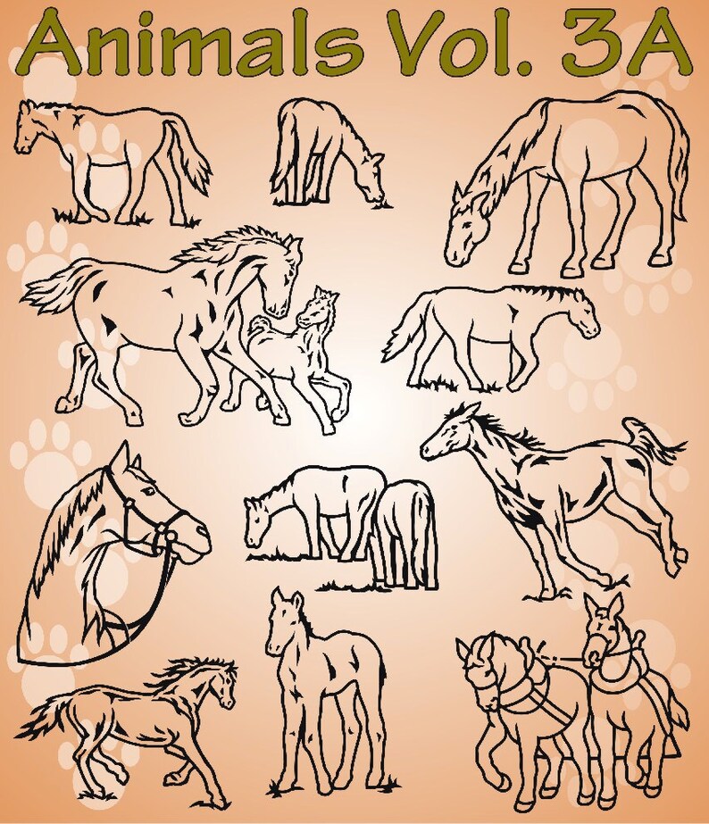 Animals Vol. 3A Vector Clipart - Etsy