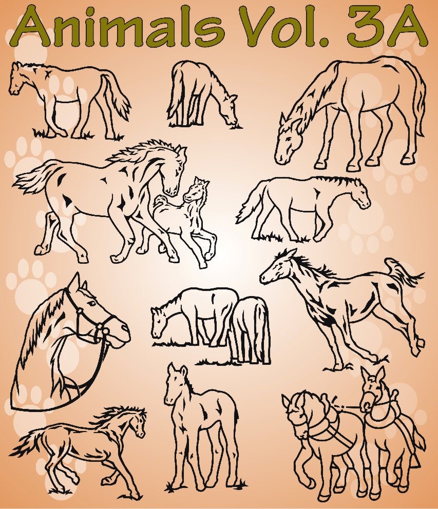 Animals Vol. 3A Vector Clipart - Etsy