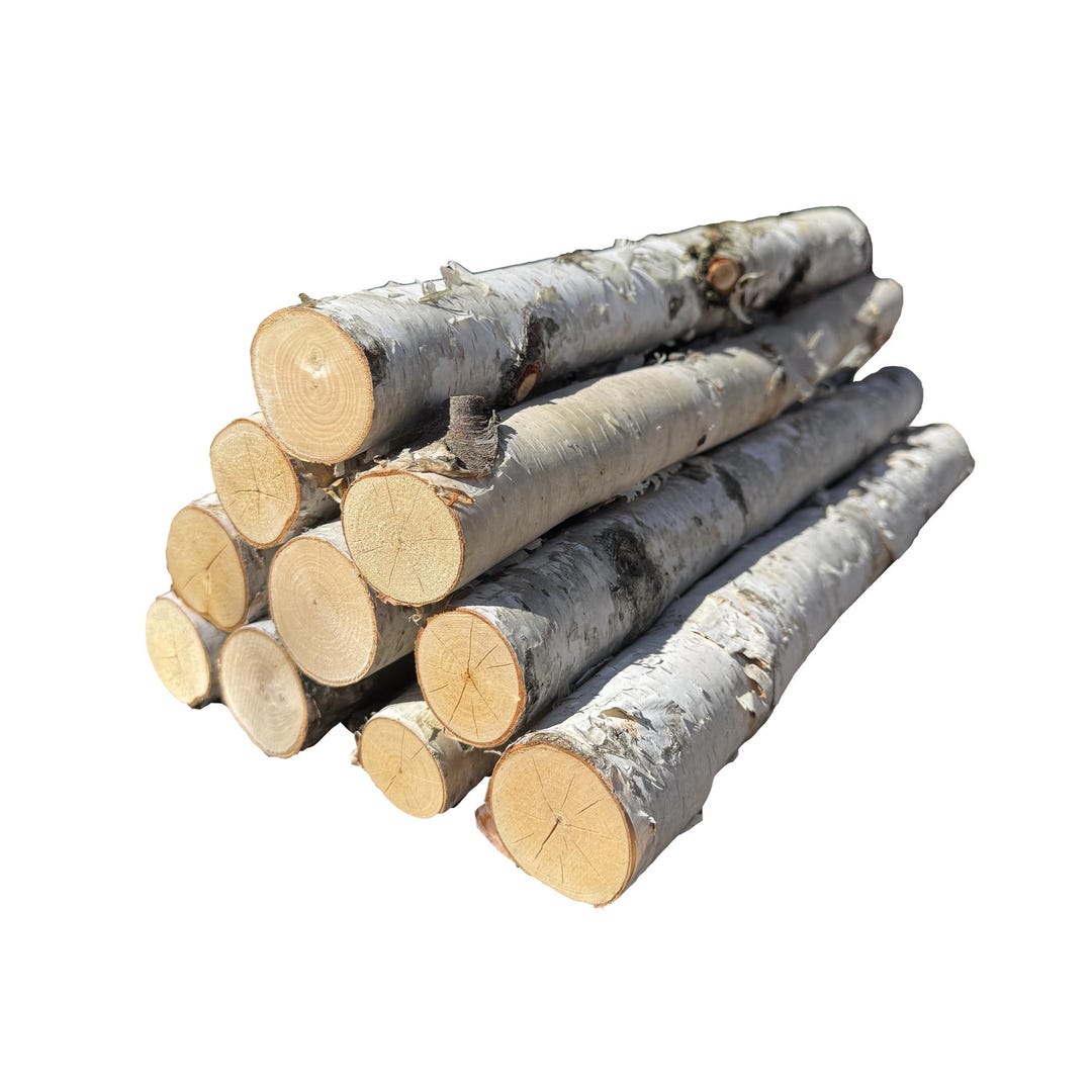 Set of 10 White Birch Logs | Real Birch Wood for Crafts, Wedding ...