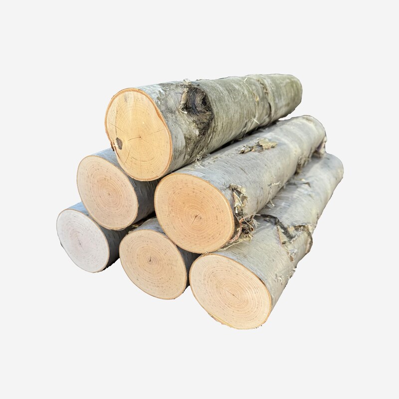 White Birch Logs - Etsy