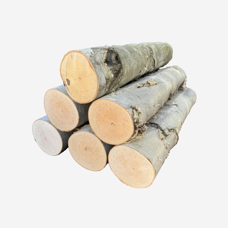 White Birch Logs - Etsy