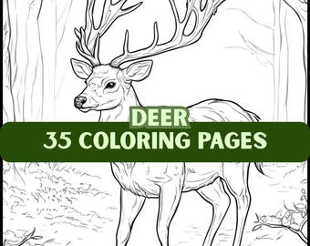 deer coloring pages website